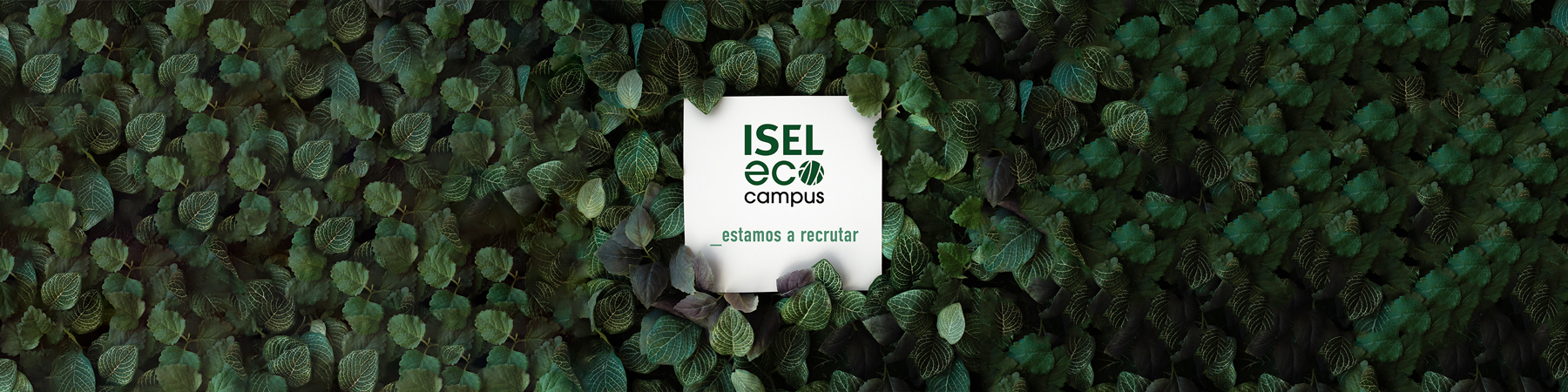 Home Page | Instituto Superior de Engenharia de Lisboa